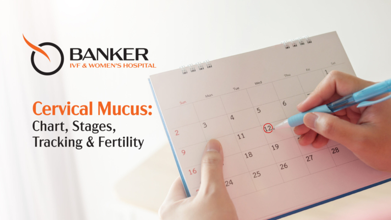 Cervical Mucus: Chart, Stages, Tracking & Fertility | Banker IVF