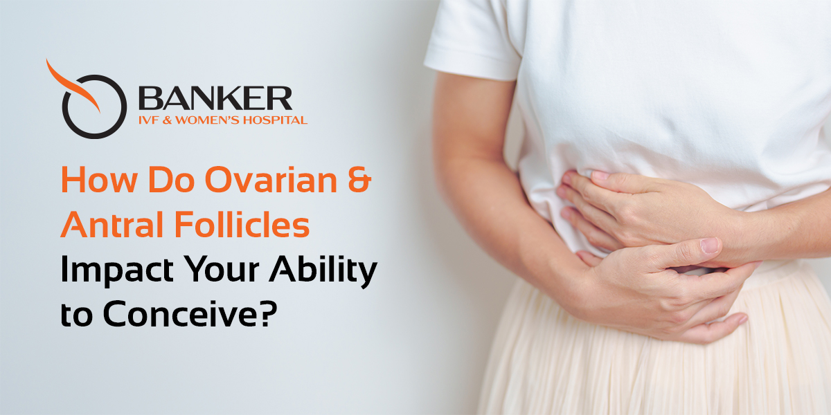 Ovarian & Antral Follicles: Their Role in Fertility & Conception