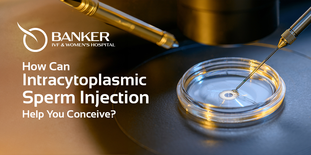 How Can Intracytoplasmic Sperm Injection Help You Conceive?